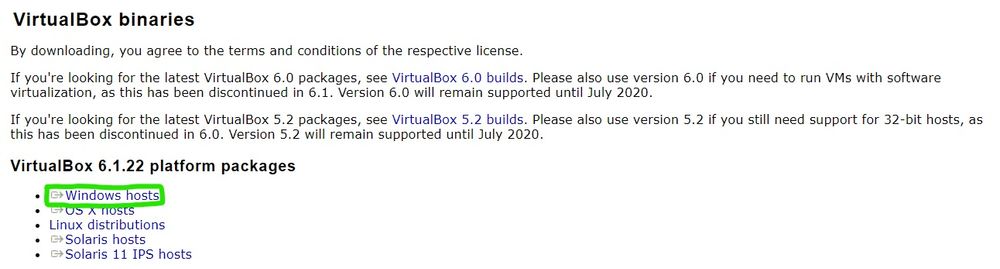 How to run Vagrant + VirtualBox on WSL 2 (2021)