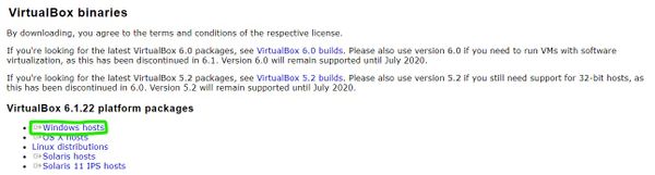 How to run Vagrant + VirtualBox on WSL 2 (2021)